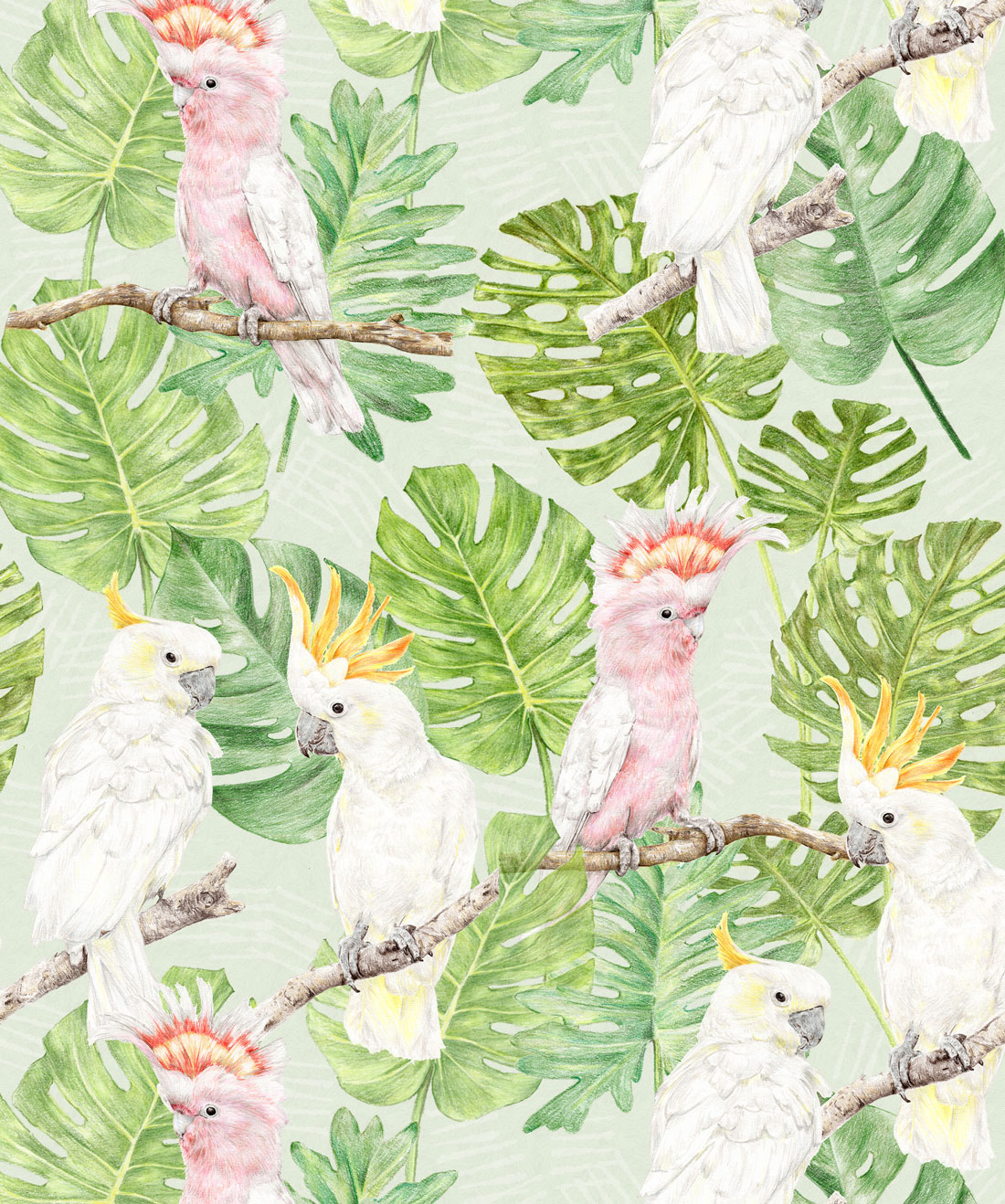 Parrot Wall Paper