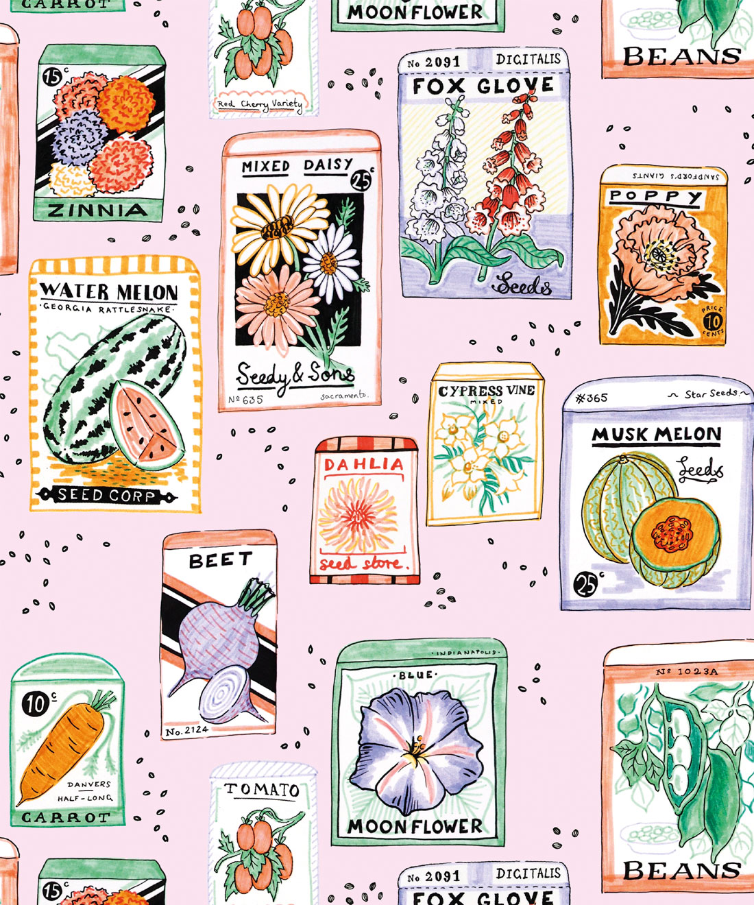 Watermelon Seed Packet Clip Art